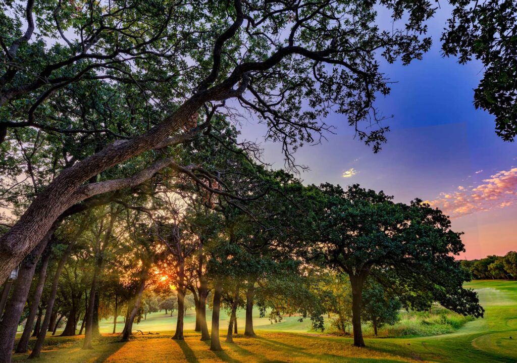 About the Course – Grapevine Golf Course – Grapevine, TX